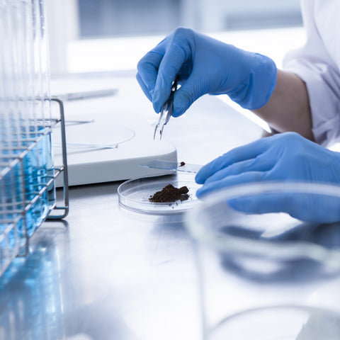 Soil Analysis And Testing, NZ | Seacliff Organics